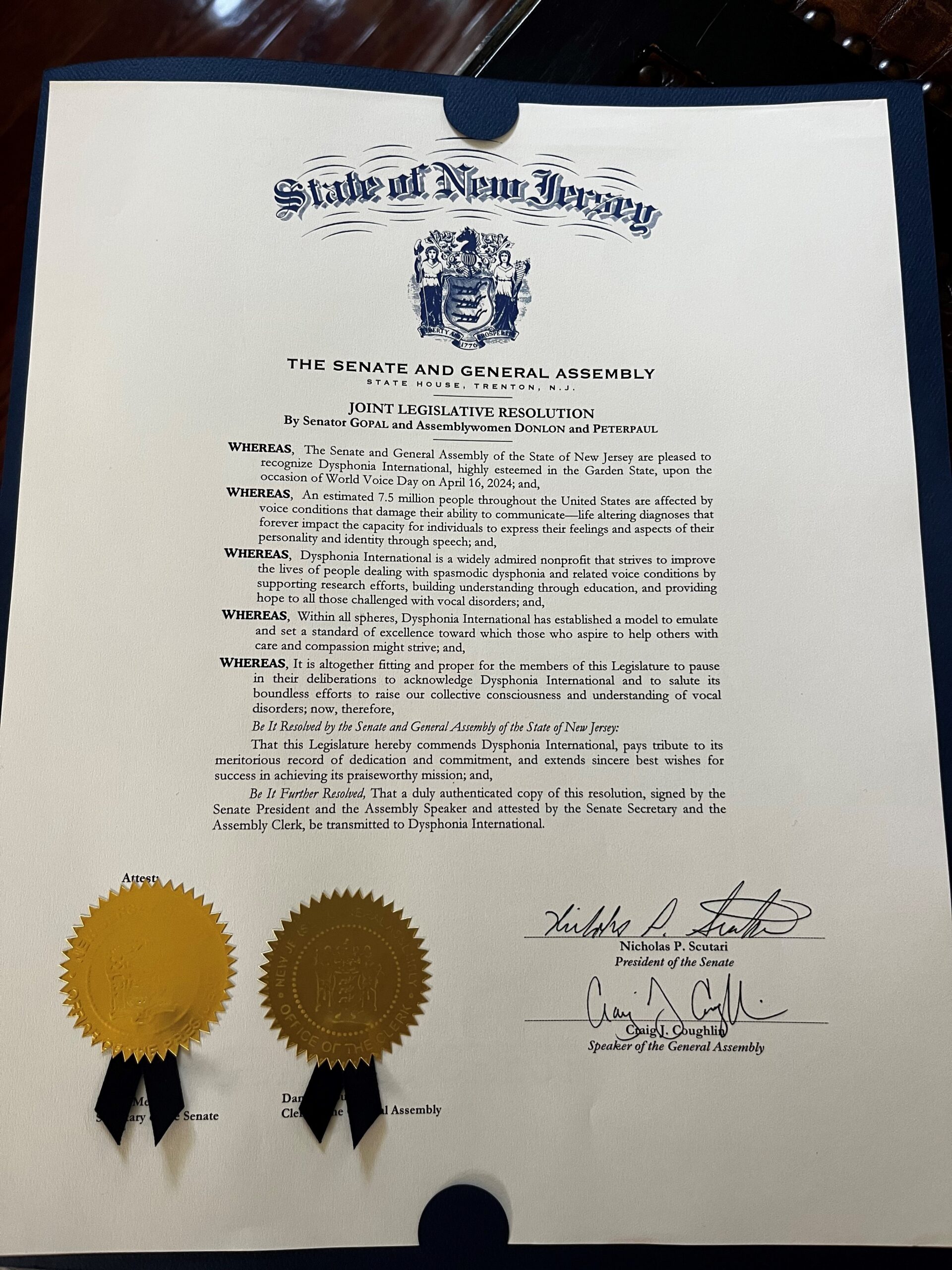 2025 World Voice Day | Empower Your Voice! - Dysphonia International